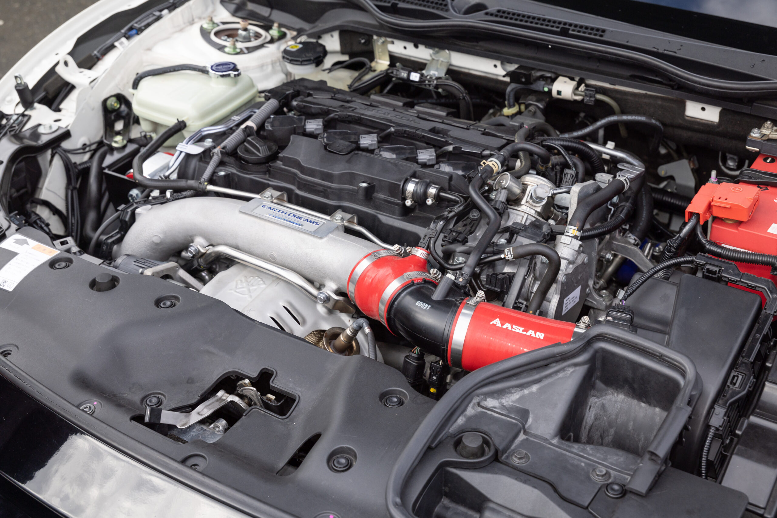 20241219-0Z1A7458 - REVSPEED