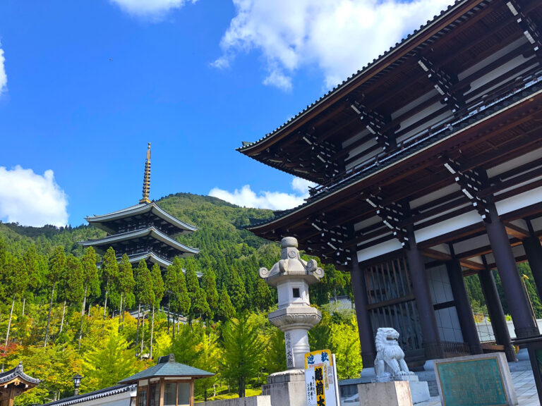 RH9が9月6日（土）に東西2カ所でツーリングイベントを同時開催！「東日本RH9 ツーリングオフ会」「西日本RH9 観光ツーリング会」それぞれの参加チケット販売は9月4日まで - REVSPEED